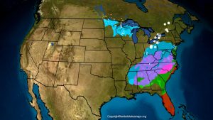 US Radar Map Printable | Radar Map Of United States
