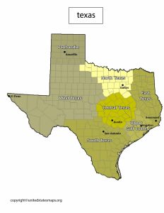 Texas Political Map | Map of Texas County by Political Party