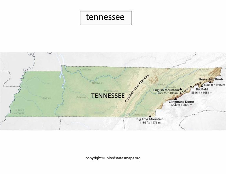 Tennessee Political Map | Political Map of Tennessee