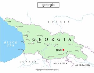 Georgia Political Map | Georgia County Political Party Ma