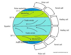 Earth Wind Map | Wind Map of Earth [Live Wind Patterns]